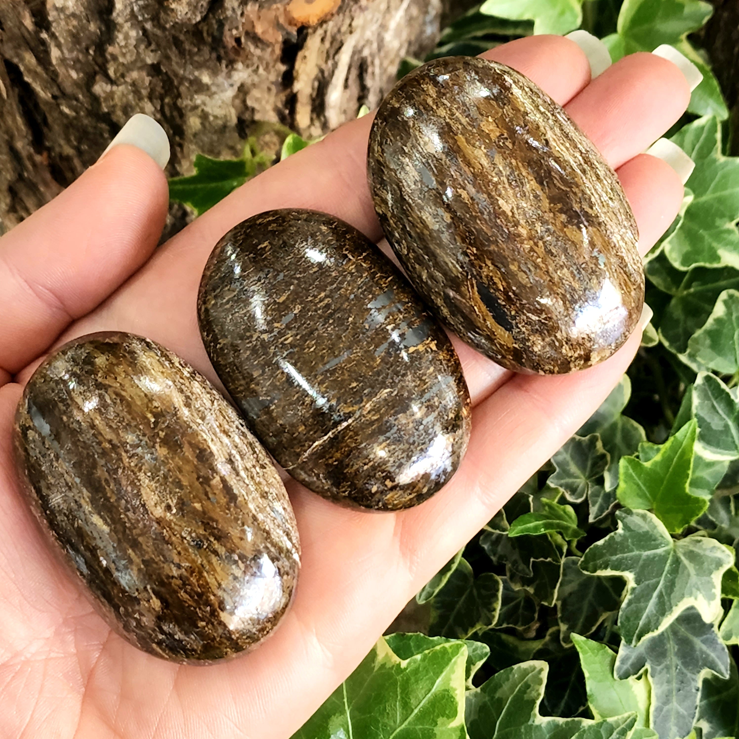 Bronzite Palm Stone (5cm) – Crystal Arcana