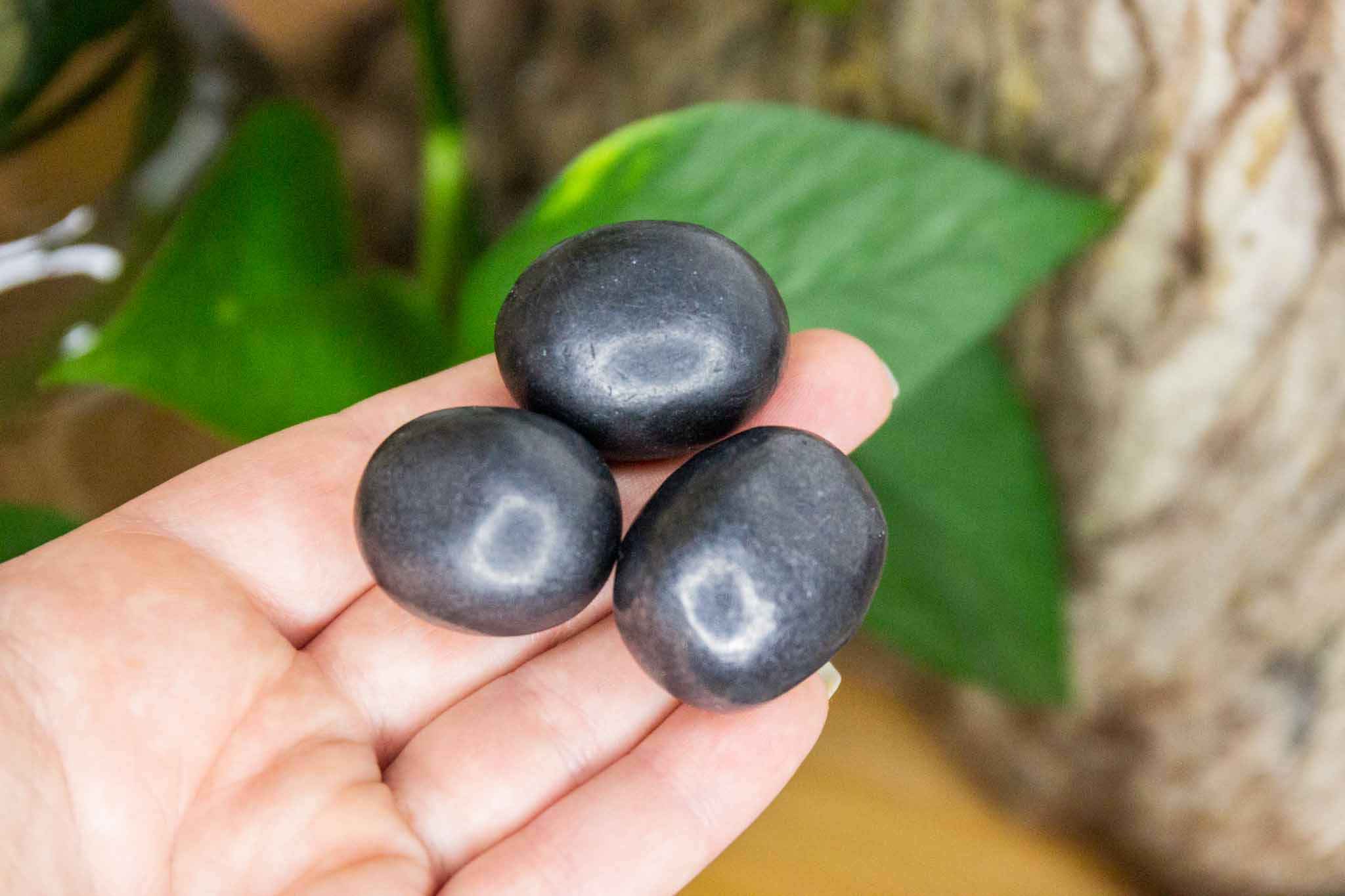 Shungite Tumbles – Crystal Arcana