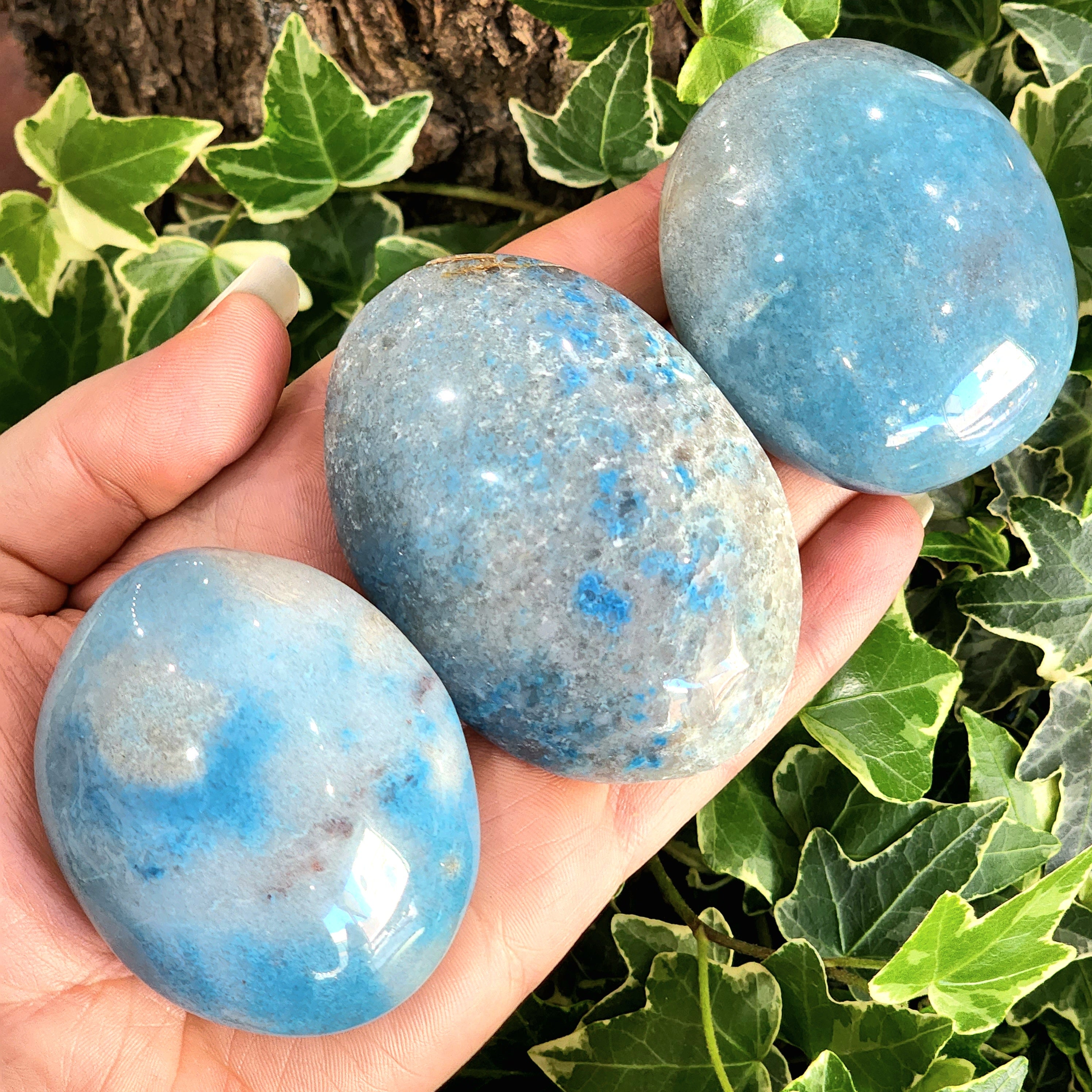 Trolleite Palm Stone (6cm) – Crystal Arcana