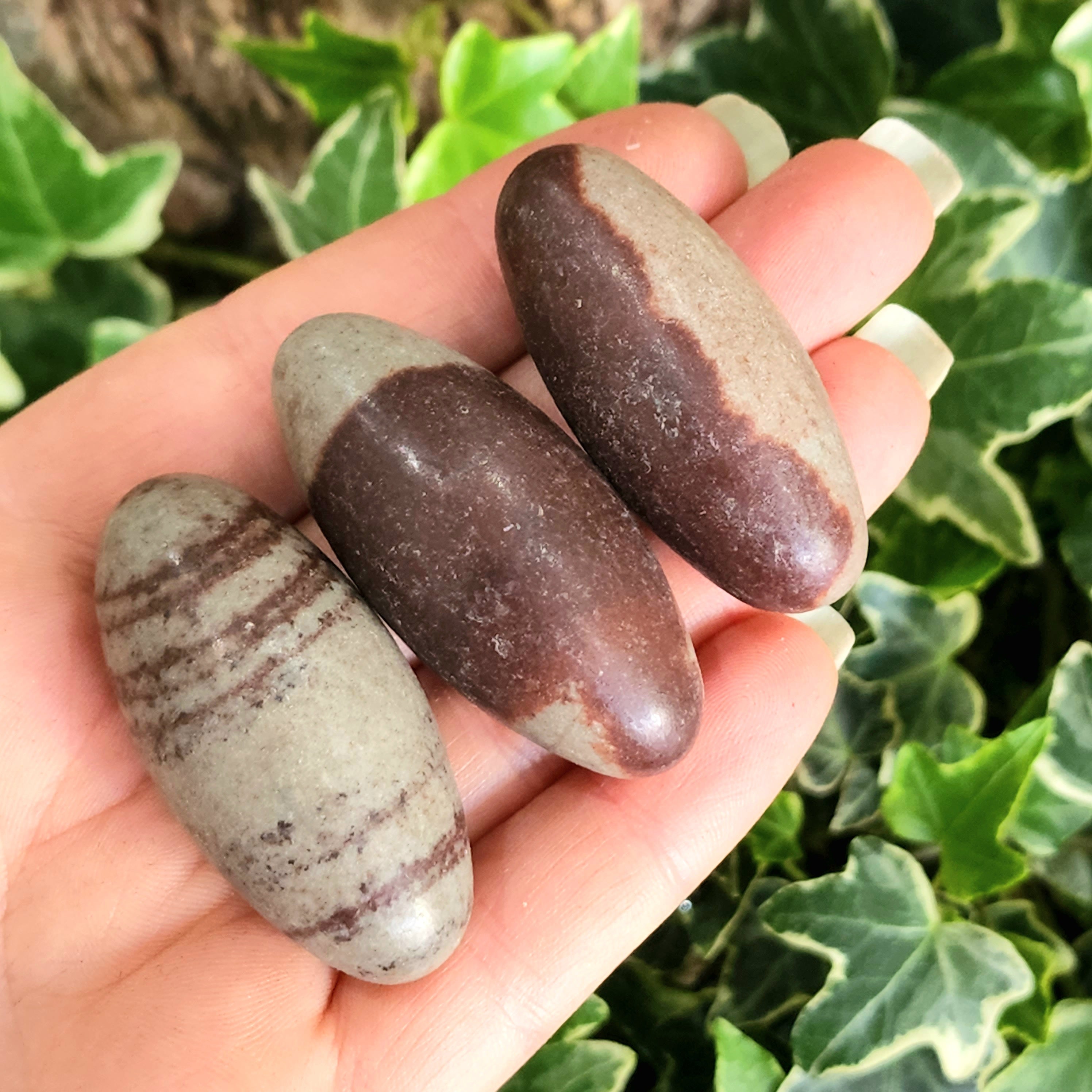 Shiva Lingam Small (5cm) – Crystal Arcana