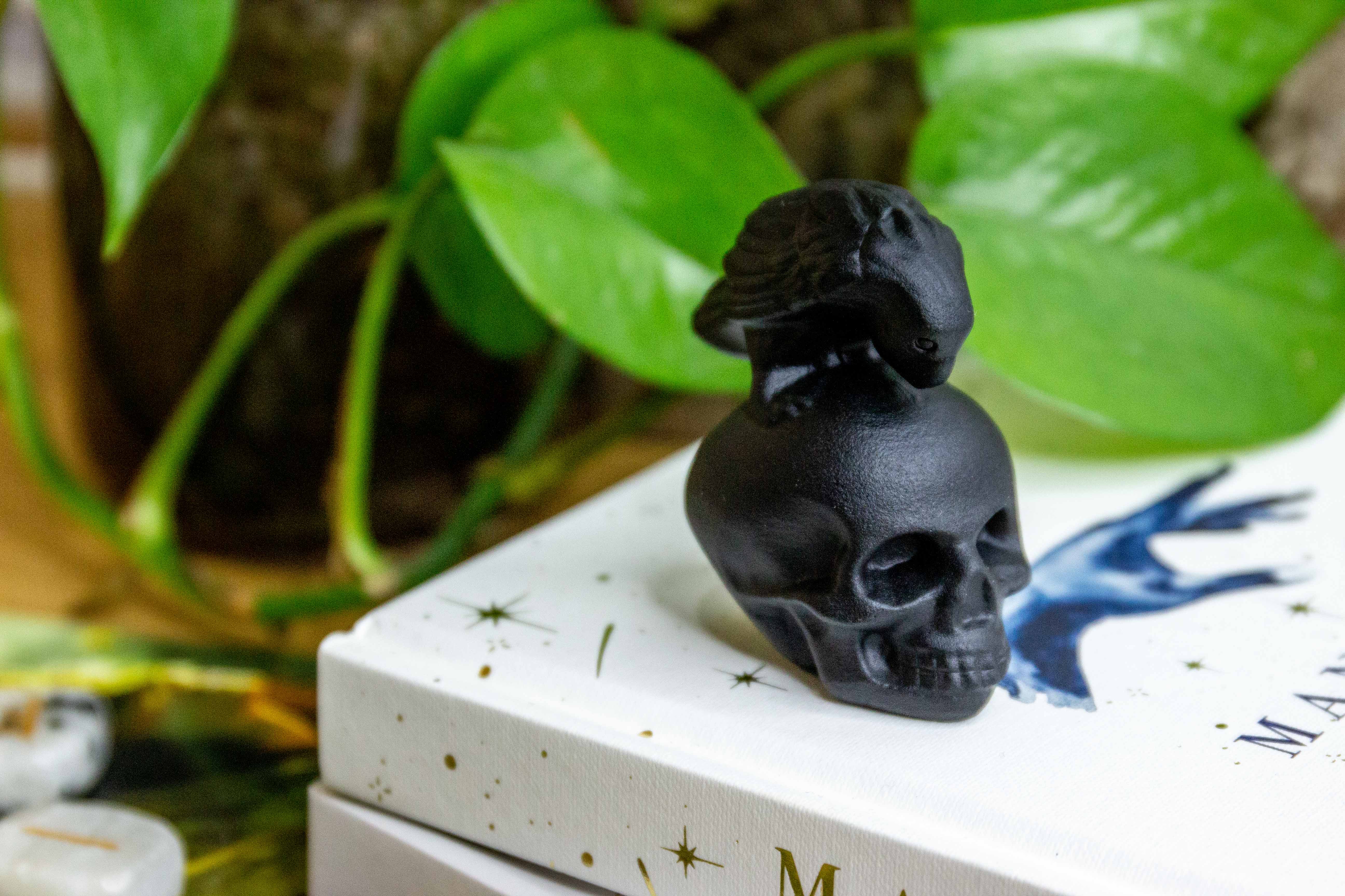 Obsidian Carving - Raven Skull – Crystal Arcana